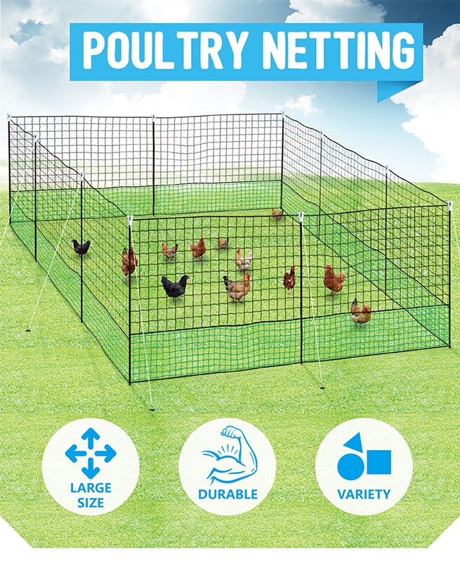 Chicken Fence Poultry Netting Ducks Mesh Hens Fencing Net Coop 10 Posts ...