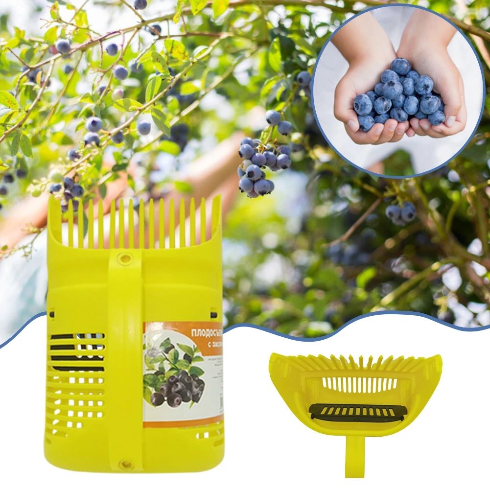 Fruit Picker Garden Blueberry Picking Tool Handheld Basket Fruit ...