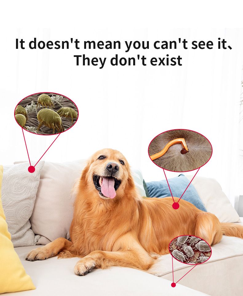 1pc Pet Repellent Ultrasonic Repellent Ticks, Fleas, Nematodes, Cats ...