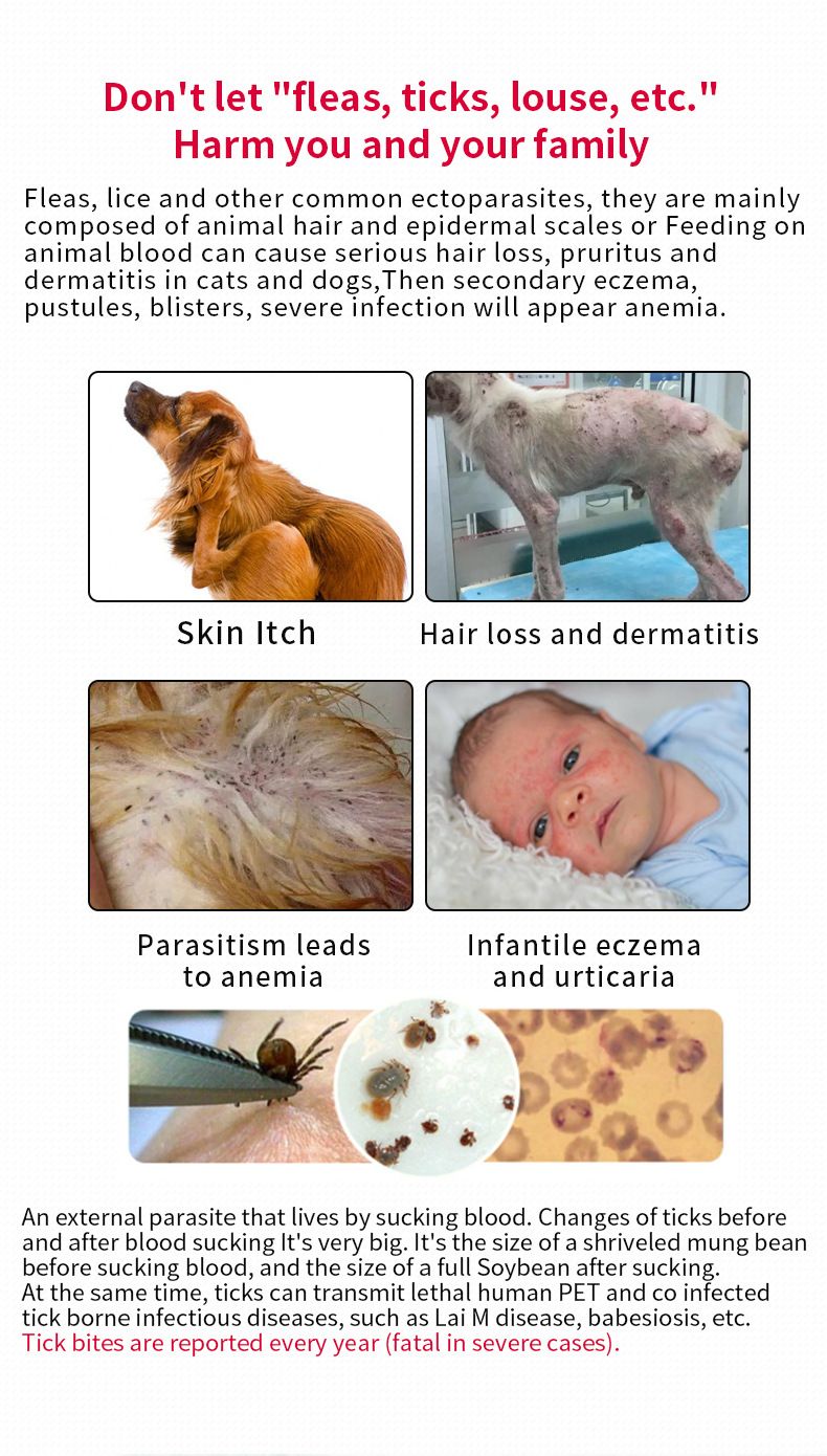 1pc Pet Repellent Ultrasonic Repellent Ticks, Fleas, Nematodes, Cats ...