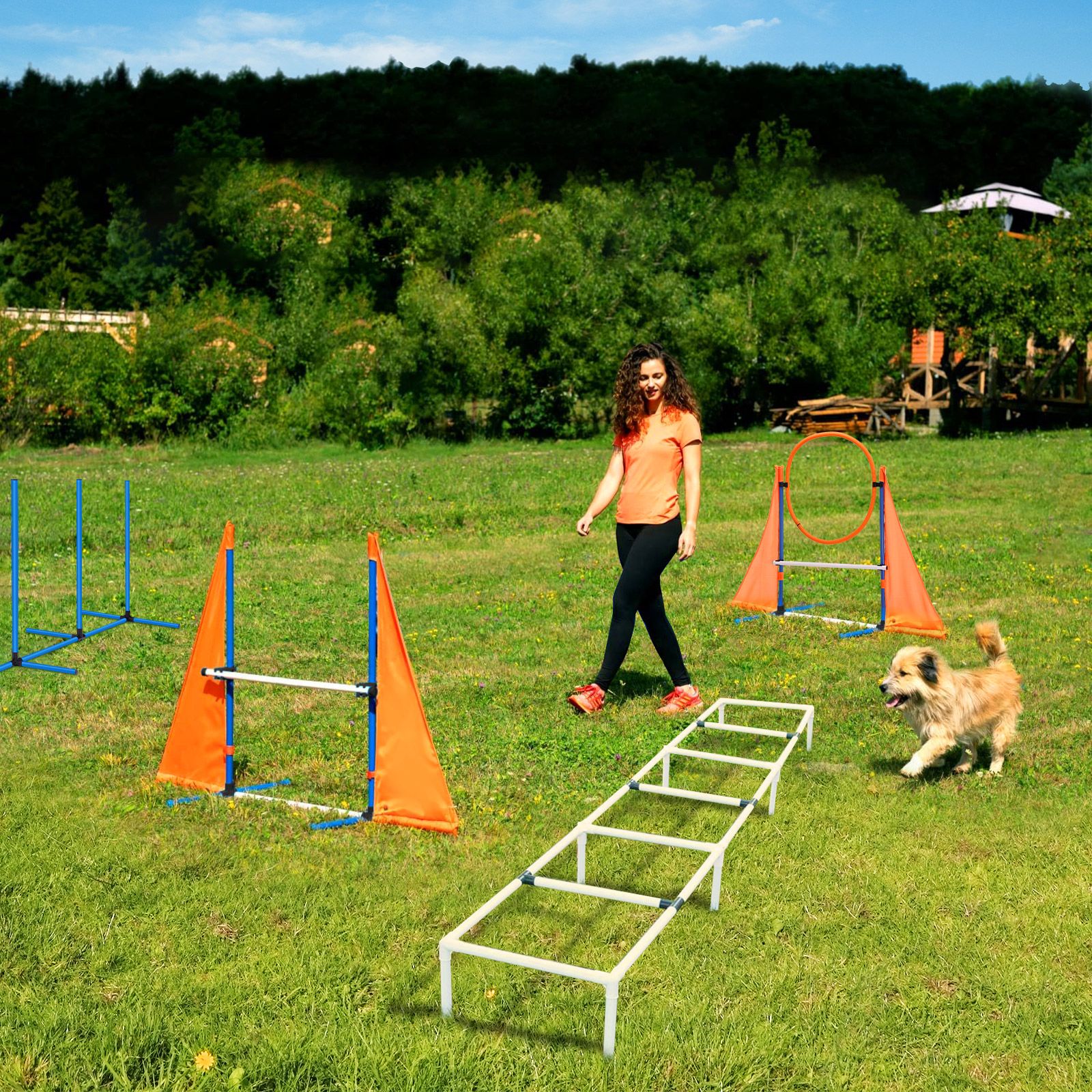 Dog Agility Training Equipment 5 Set Pet Obstacle Course Sports ...