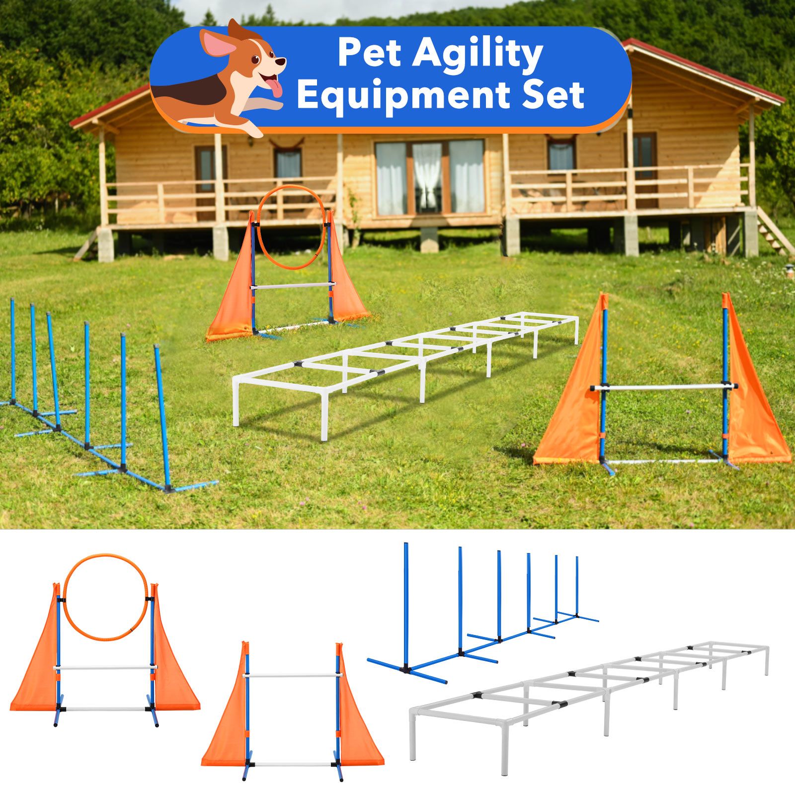 Dog Agility Training Equipment 5 Set Pet Obstacle Course Sports ...