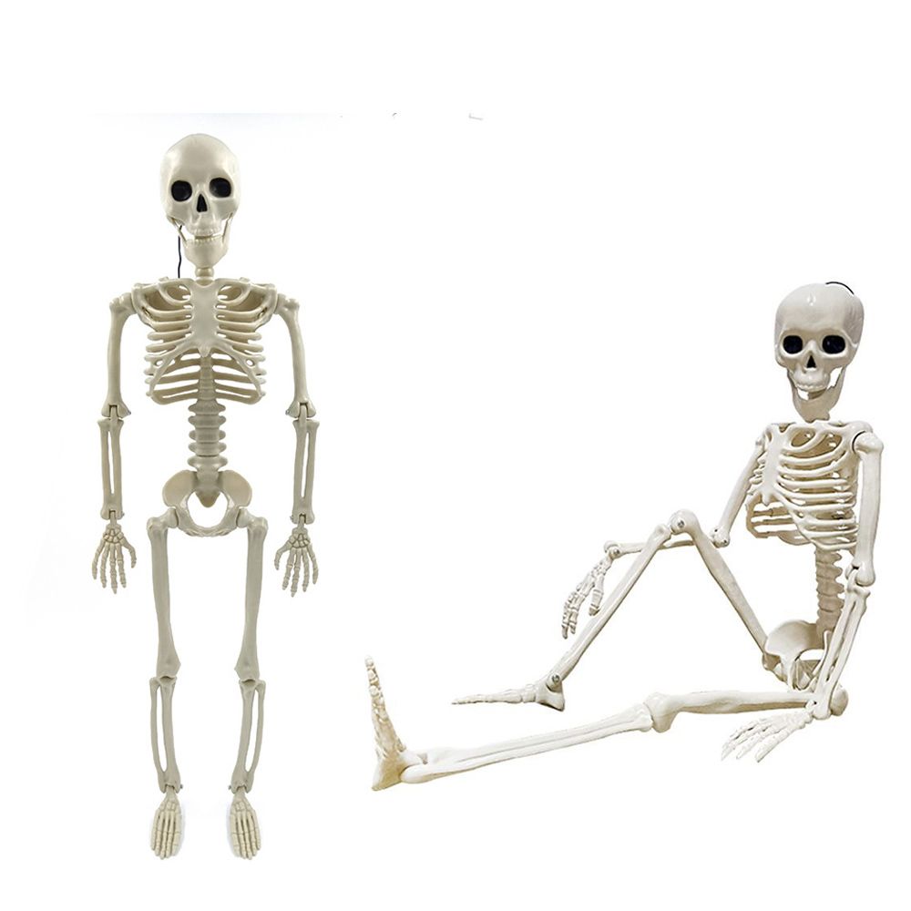 2 PCS Posable Halloween Skeletons 16 Inches Full Body Posable Joints ...