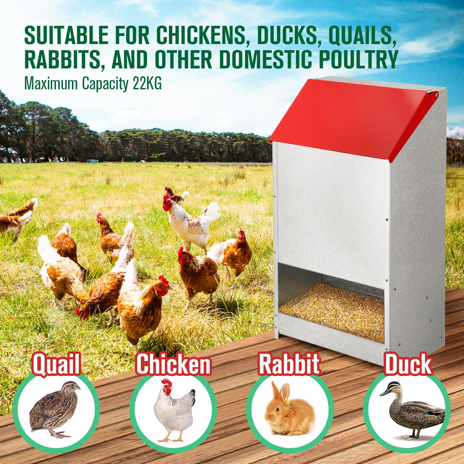 Chicken Food Feeder Auto Treadle Poultry Chook Feed Supplies Automatic ...