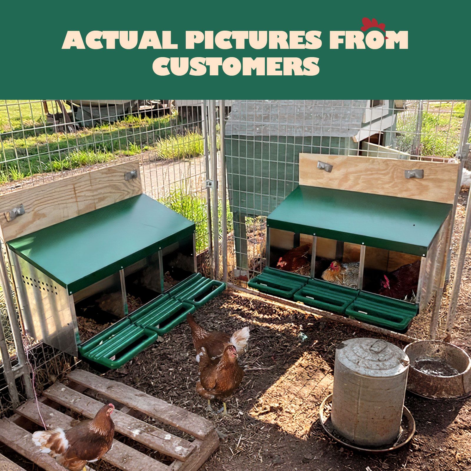 3 Hole Chicken Nesting Box Hen Chook Roll Away Laying Nest Boxes ...