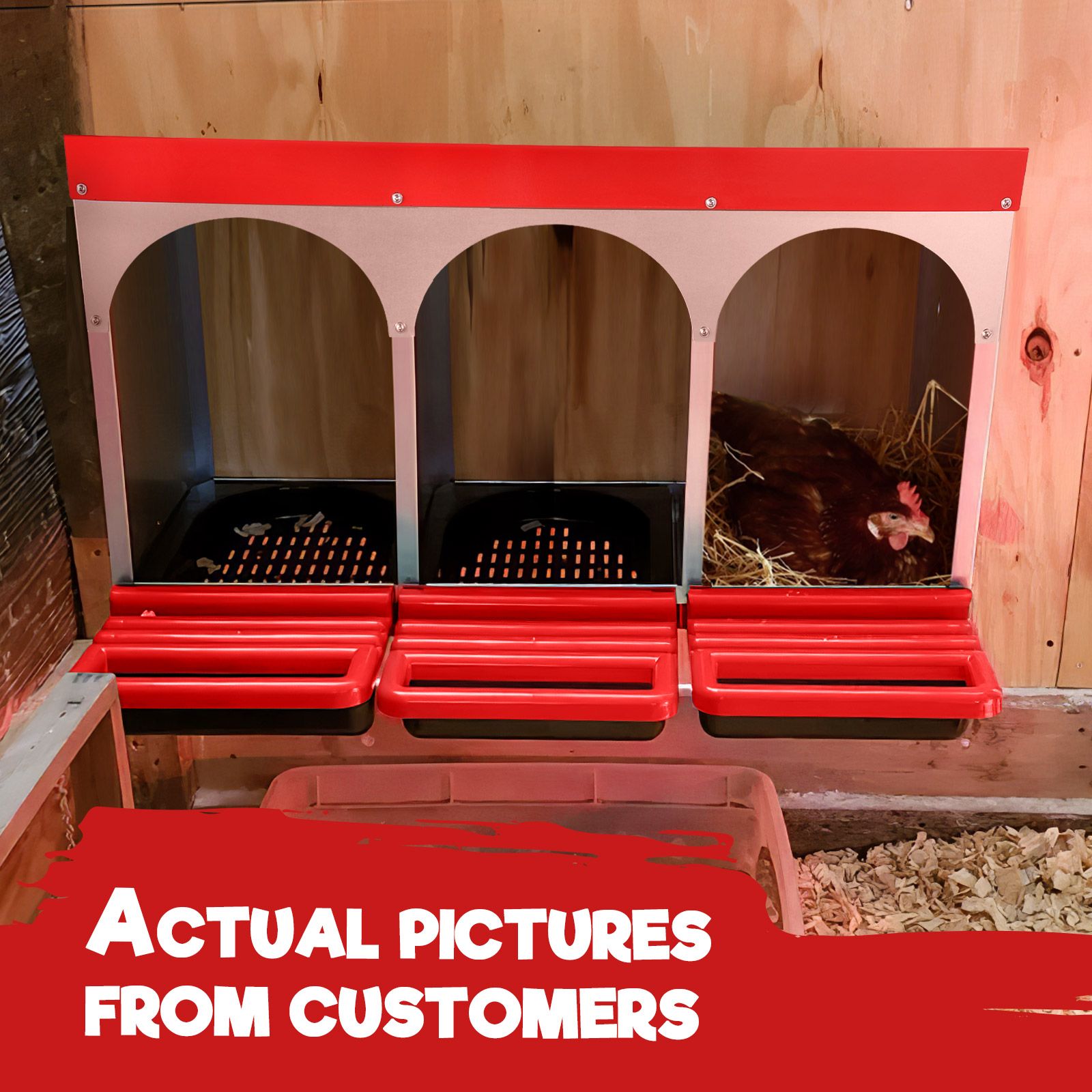 3 Hole Chicken Nesting Box Hen Roll Away Laying Boxes Chook Nest ...