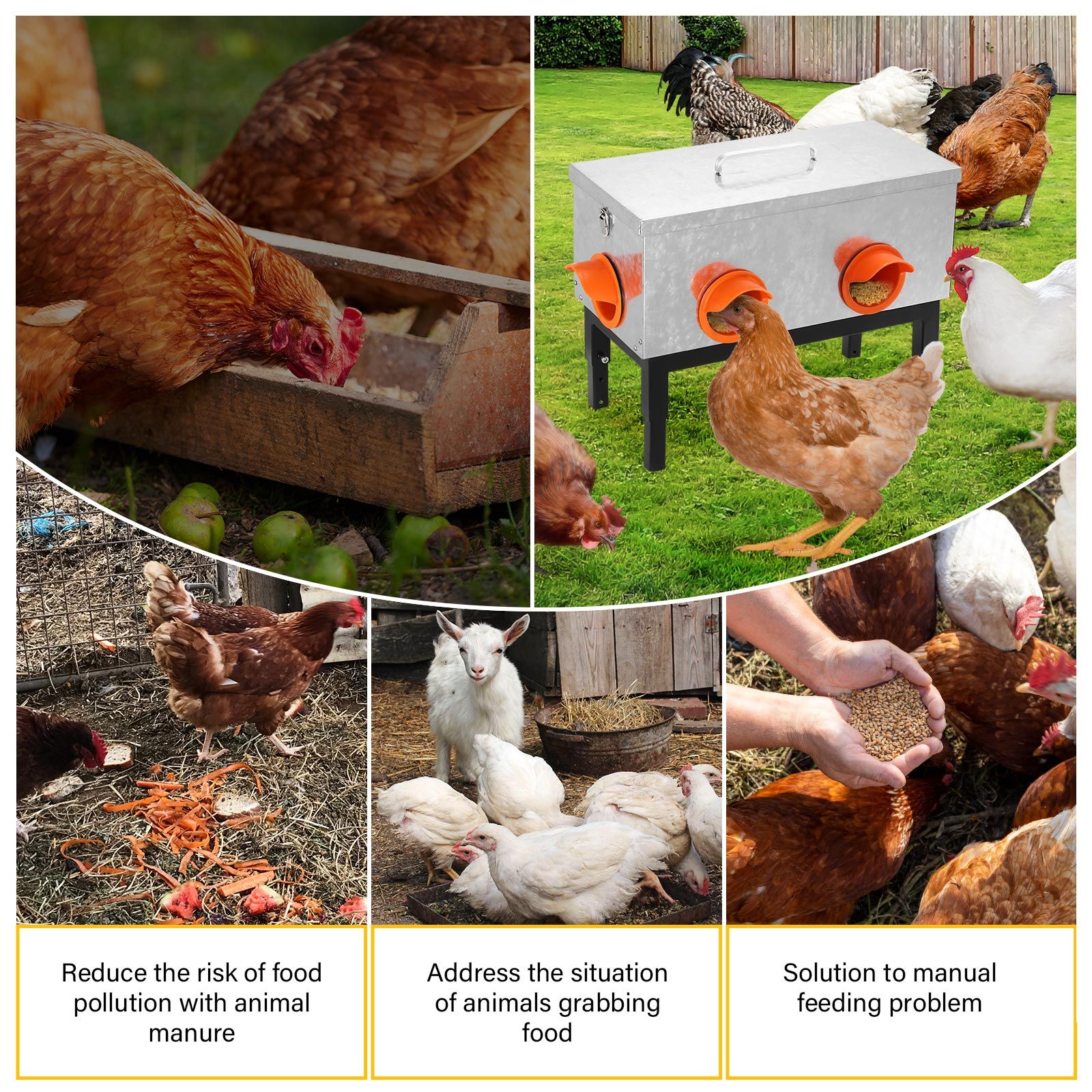 Auto Chicken Feeder 13L Automatic Coop Chook Hen Poultry Food Dispenser ...