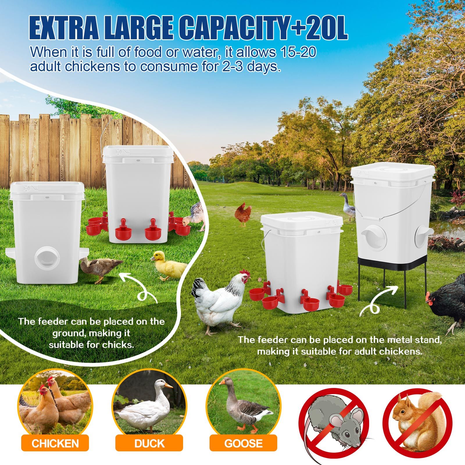 Chicken Bird Feeder Waterer Set Auto Food Water Dispenser Automatic ...