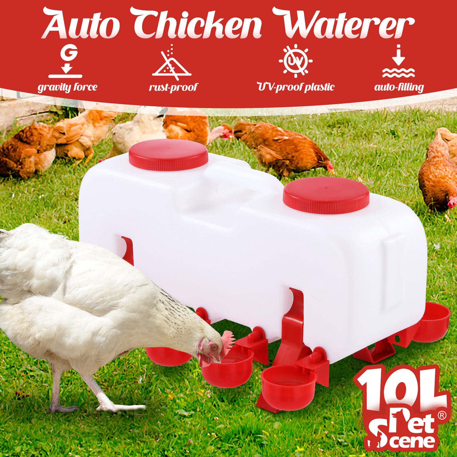 Chicken Water Feeder Auto Chick Waterer Automatic Poultry Dispenser ...