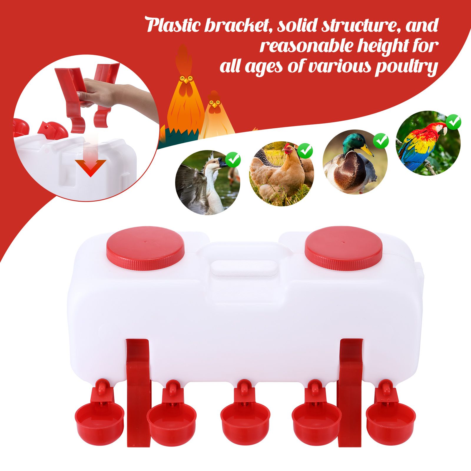 Chicken Water Feeder Auto Chick Waterer Automatic Poultry Dispenser ...