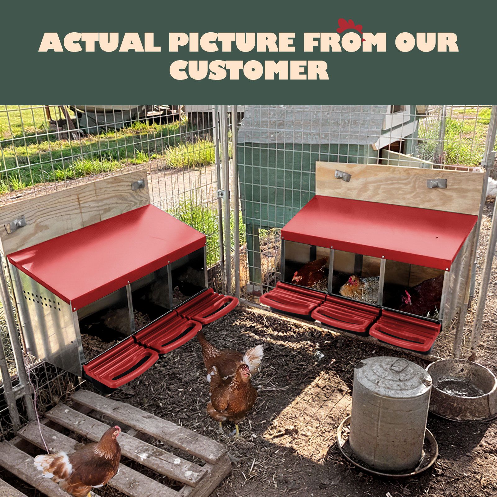 3 Hole Chicken Nesting Box Roll Away Hen Chook Laying Nest Boxes House ...
