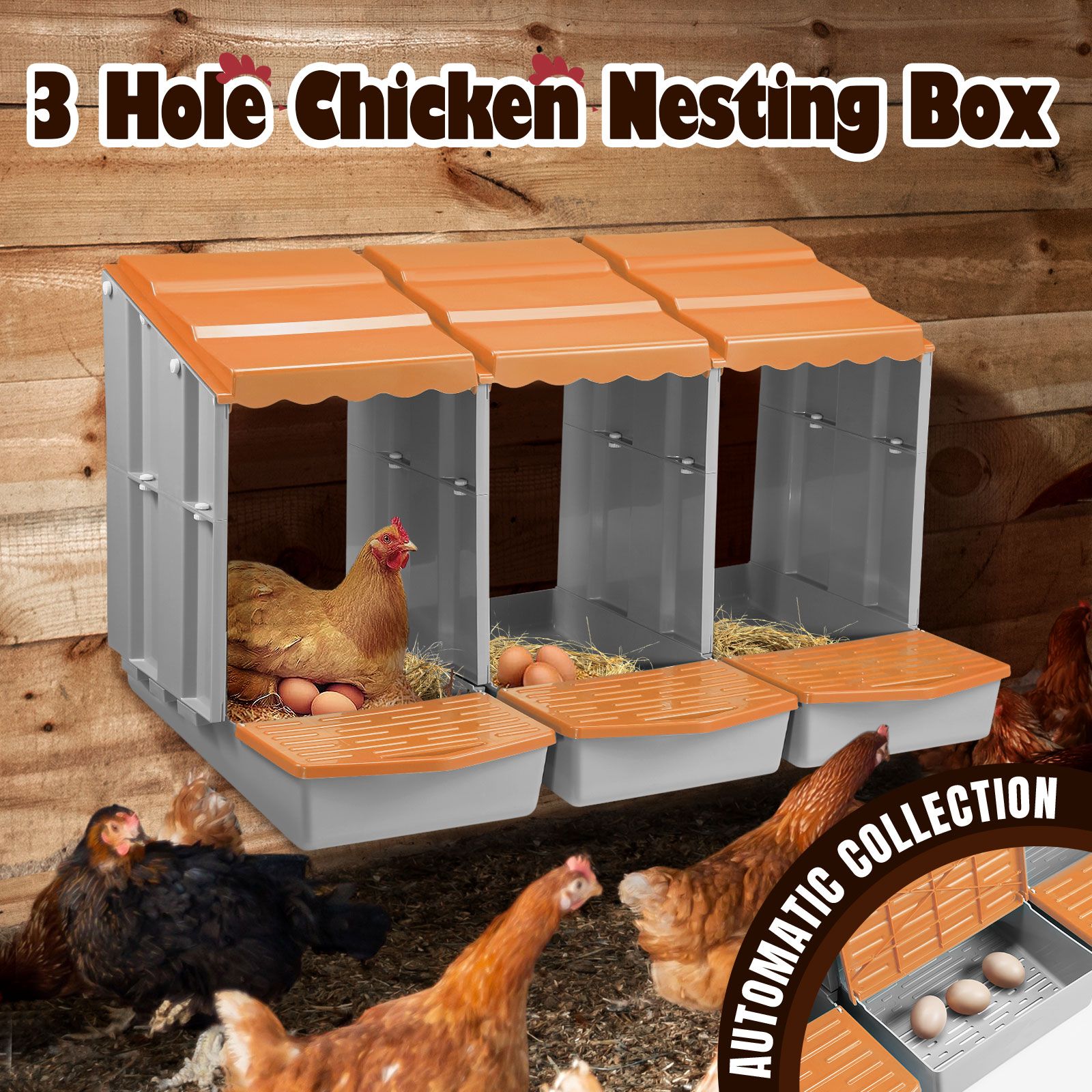 3 Hole Chicken Nesting Box Hen Chook Roll Away Modular Laying Boxes ...