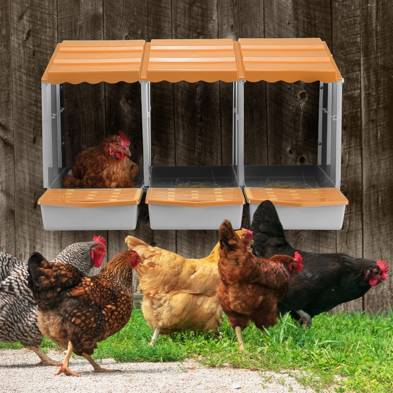 3 Hole Chicken Nesting Box Hen Chook Roll Away Modular Laying Boxes ...