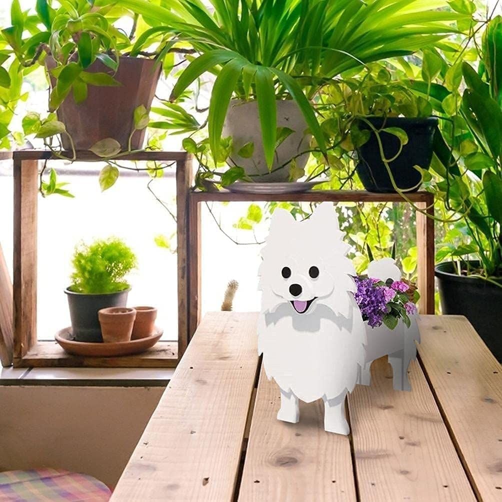 Pomeranian Dog Planter, a Unique Flower Pot Shaped Like a Cute Dog for ...
