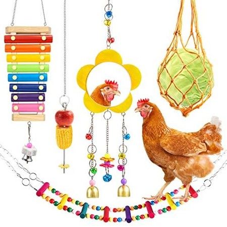 5-Pack Chicken Toys Variety Pack: Xylophone, Mirrors, Ladders, Swings ...