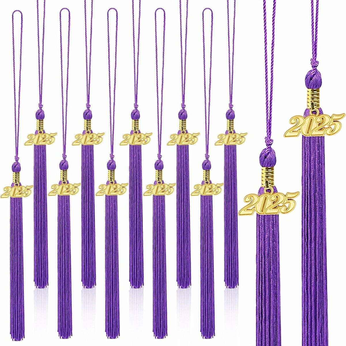 2025 Graduation Tassels,10Pcs Graduation Cap Tassels 2025 Grad ...